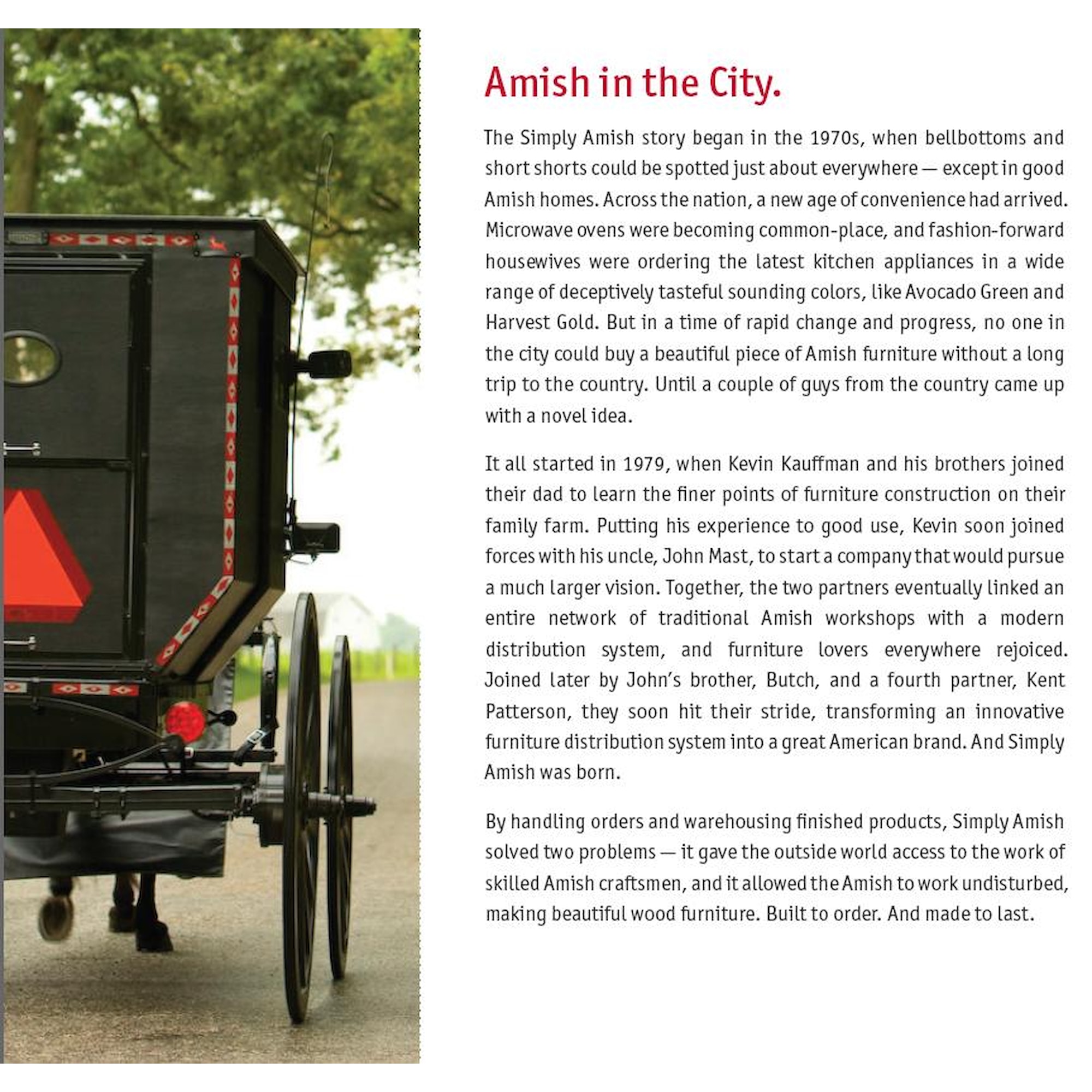 Simply Amish Aspen SBASP-05B3 Queen Panel Bed | Mueller Furniture ...